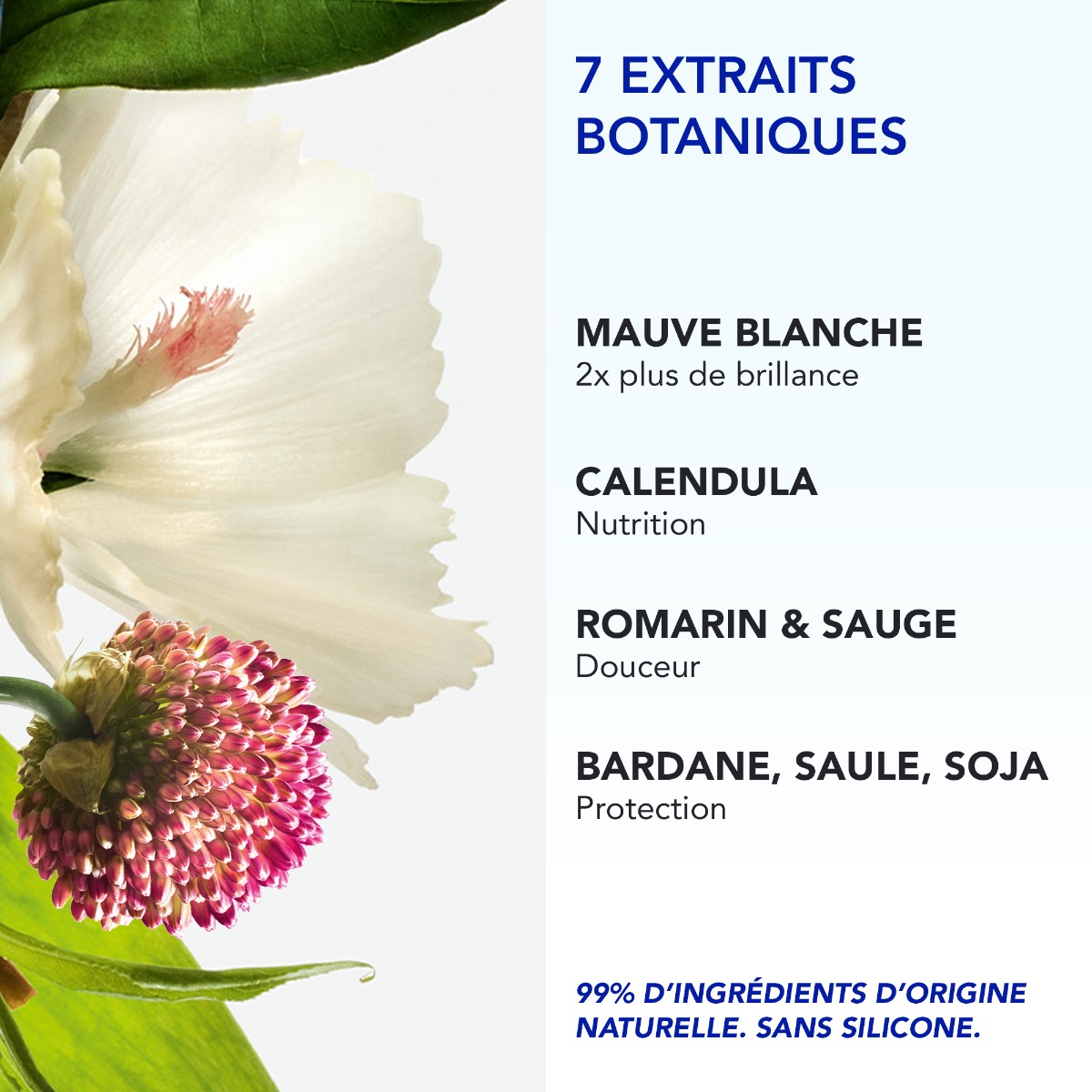 Crème de Jour Universelle 100ml - Phyto 7 Elixir